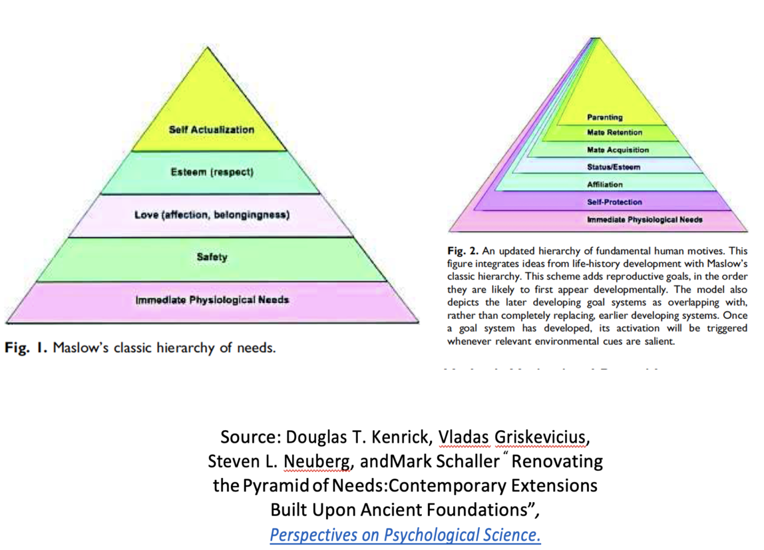 revised pyramid - Ray Williams